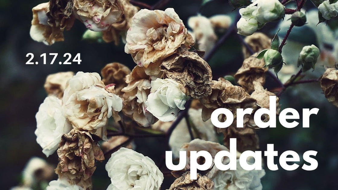 Mid-February Order Updates 2.16.24 – Agashi Shop