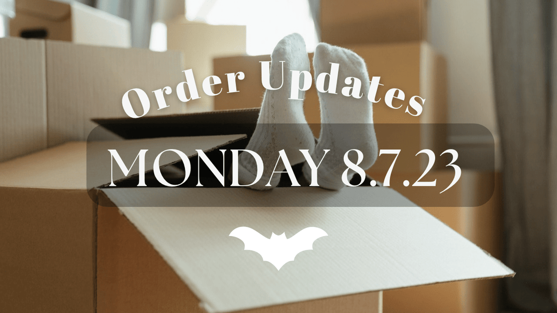 Order Updates Mini Delay – Agashi Shop